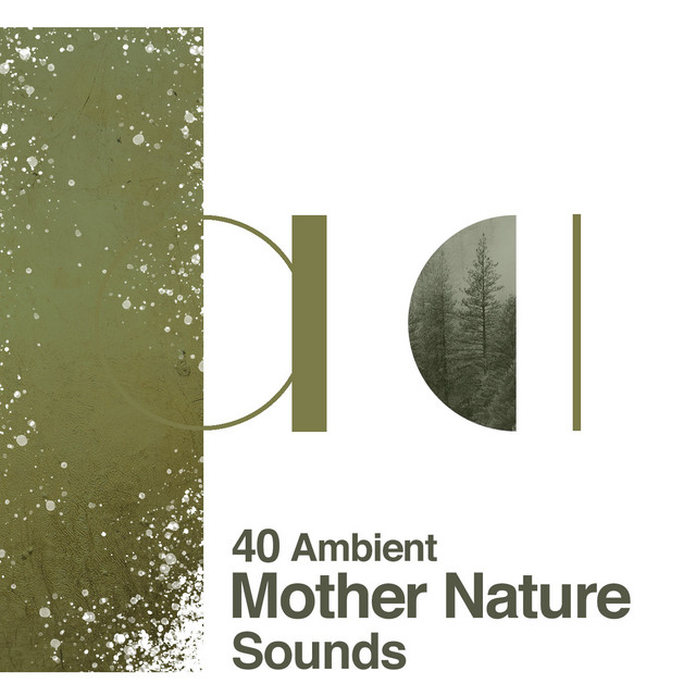 40Ambient Mother Nature Sounds - Album by Mother Earth Sounds | Spotify