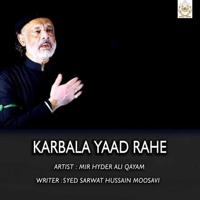 Hyder Ali Concert & Tour History | Concert Archives