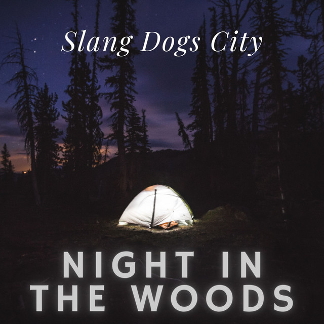 Night in the Woods - Album by Slang Dogs City | Spotify