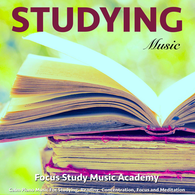 Lesson - song and lyrics by Focus Study Music Academy | Spotify