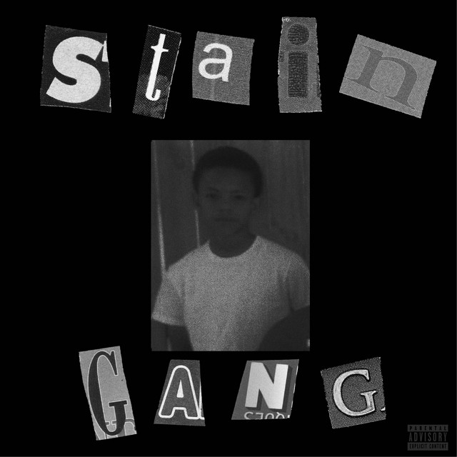StAin GAng - Single by Alex Gaat | Spotify