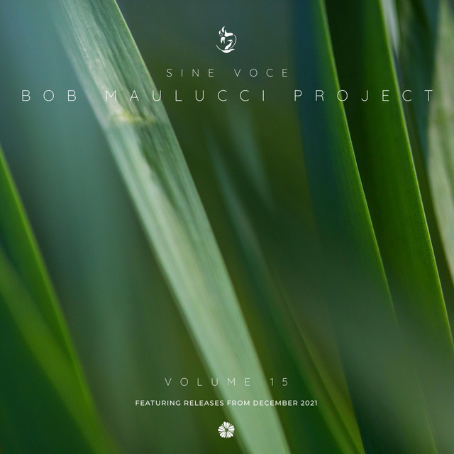 Sine Voce, Volume 15 - Album by Bob Maulucci Project | Spotify
