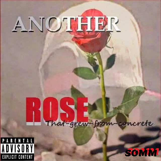 Another Rose - Album by SOMM | Spotify