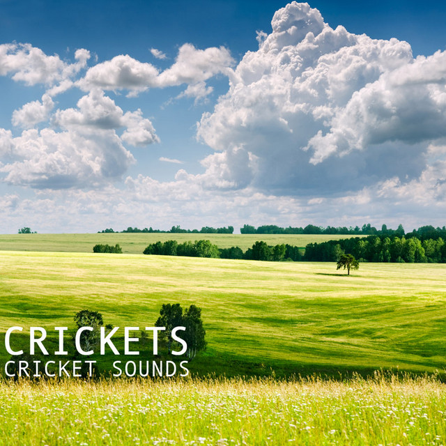 Crickets - Album by Cricket Sounds | Spotify