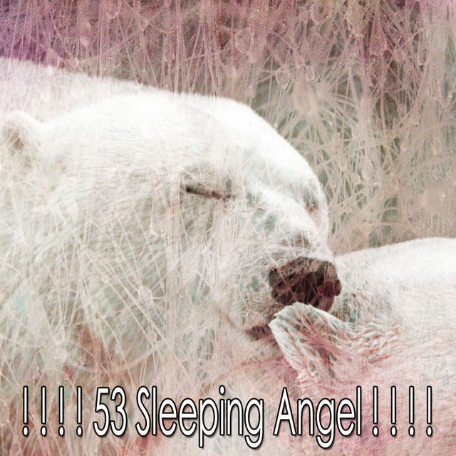 53 Sleeping Angel ! ! ! ! - Album by Spa Relaxation & Spa | Spotify