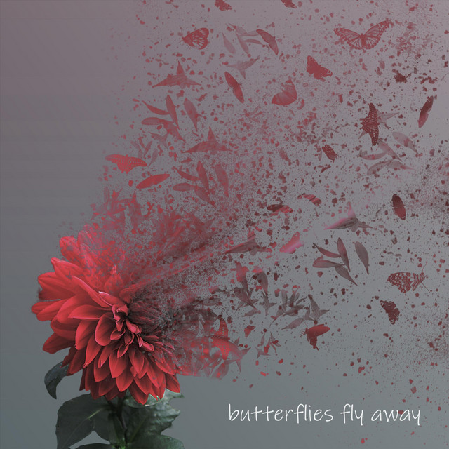 BPM and key for Butterflies Fly Away by Sons of Serendip | Tempo for ...