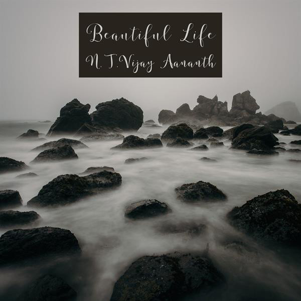 Beautiful Life - Single by N.T. Vijay Aananth | Spotify