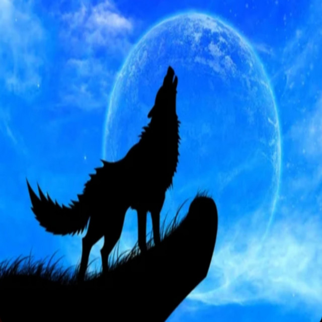 Ballad of the wolf - song and lyrics by ArticWolf | Spotify
