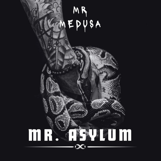 Mr. Medusa (Radio Edit) - Single by Mr. Asylum | Spotify