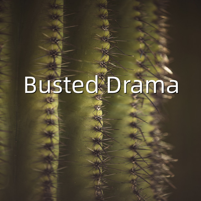Busted Drama - Album by 董白梦 | Spotify