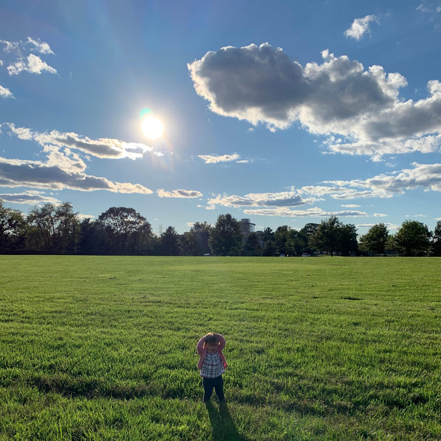 Good Morning Stella - Single by Brad Rek | Spotify