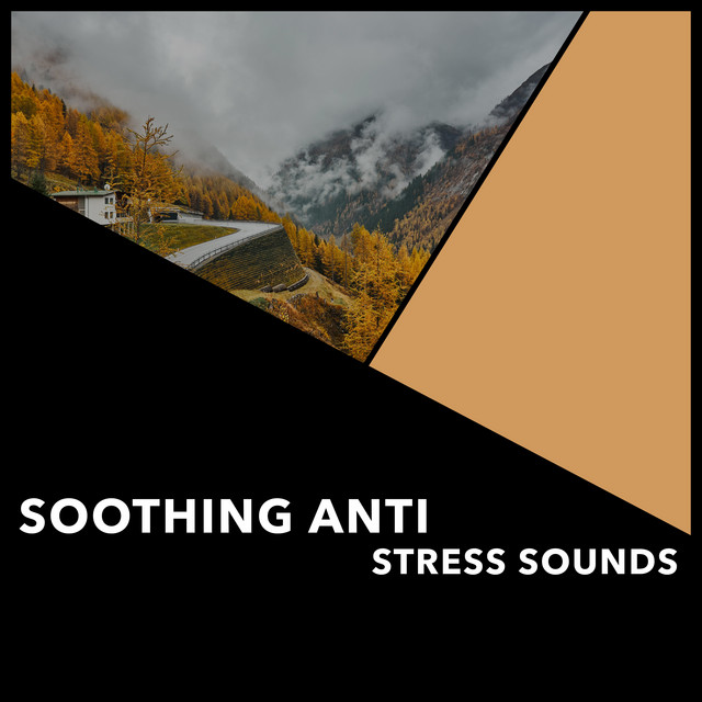 Soothing Anti Stress Sounds - Album by Relaxing Chill Out Music | Spotify