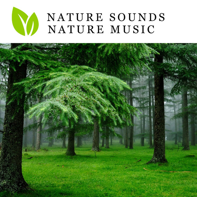 Nature Sounds Nature Music - Album by Nature Sounds Nature Music | Spotify