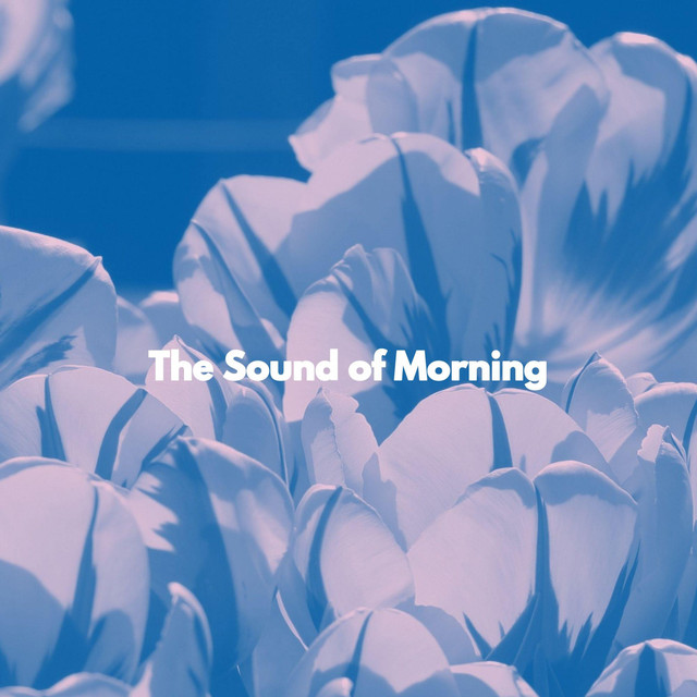 The Sound of Morning - Album by Restaurant Music Playlist Lounge | Spotify