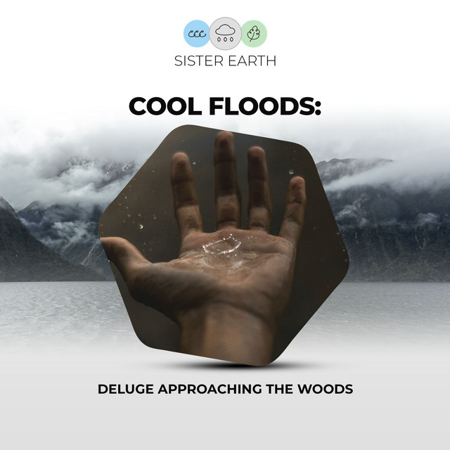 Cool Floods: Deluge Approaching the Woods - EP by Weather Factory | Spotify