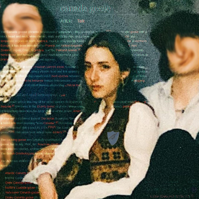 canada geese - song and lyrics by Ramona Wolf | Spotify