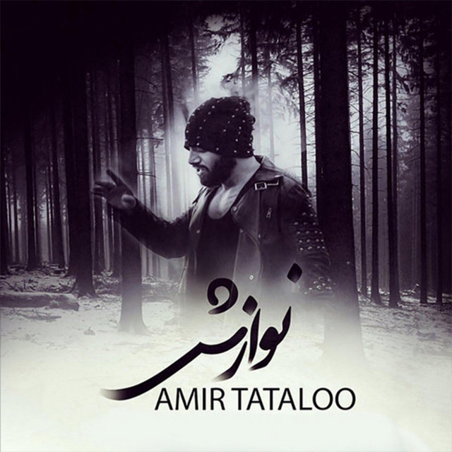 Navazesh - song and lyrics by Amir Tataloo | Spotify