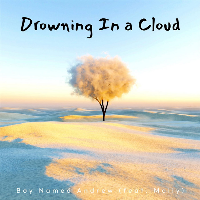 Drowning in a Cloud - Single by Boy Named Andrew | Spotify