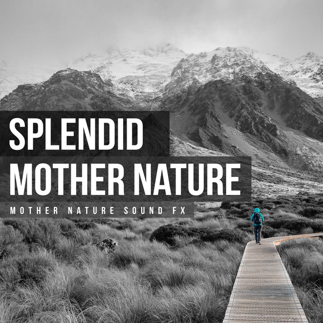 Splendid Mother Nature - Album by Mother Nature Sound FX | Spotify