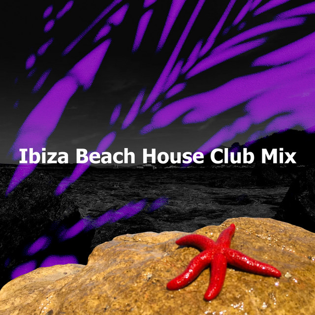 Ibiza Beach House Club Mix - Album by Beach House Club | Spotify