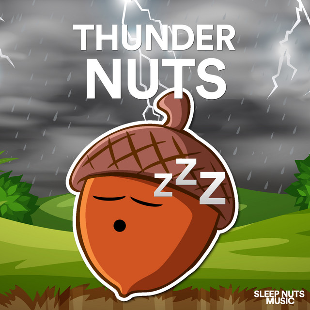 Thunder and Rain: Sounds for a Deep Sleep - Album by Sleep Nuts Music ...