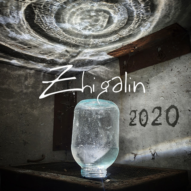 2020 - Album by Zhigalin | Spotify