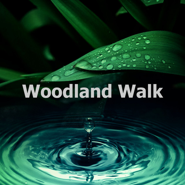 Woodland Walk - Album by Sound of the Wilderness | Spotify