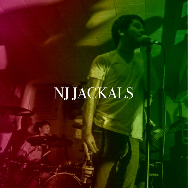 Our Last New Year - Single by NJ JACKALS | Spotify