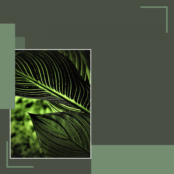 Background Music for Daily Unwinding - Album by Work Music | Spotify