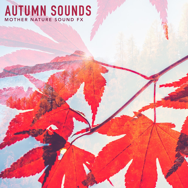 Autumn Sounds - Album by Mother Nature Sound FX | Spotify