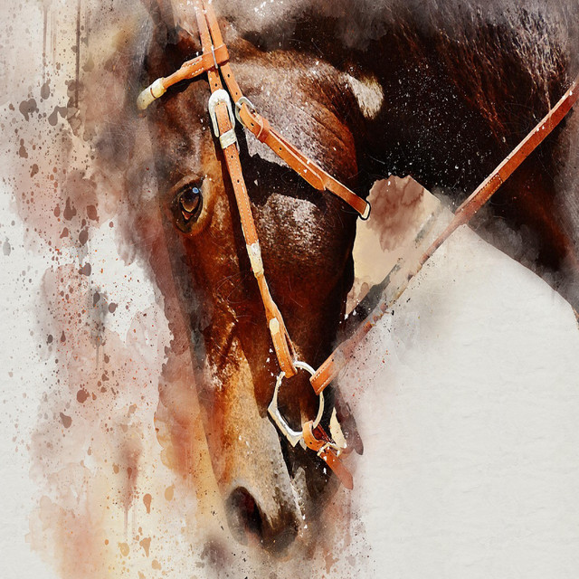 Horse Stomp - Single by Richard Millions | Spotify