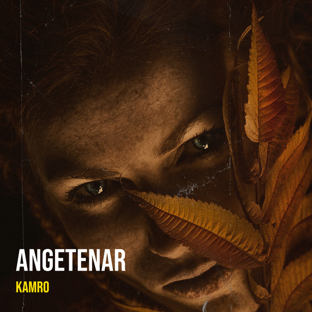 Angetenar - song and lyrics by Kamro | Spotify