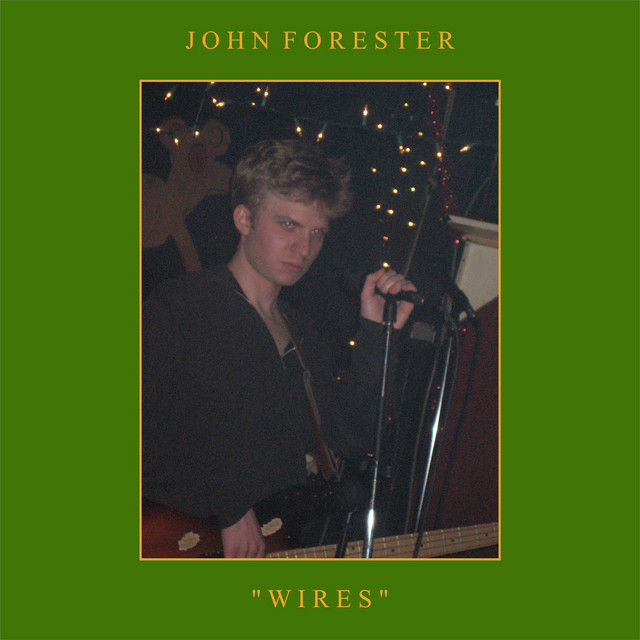 Wires - Single by John Forester | Spotify