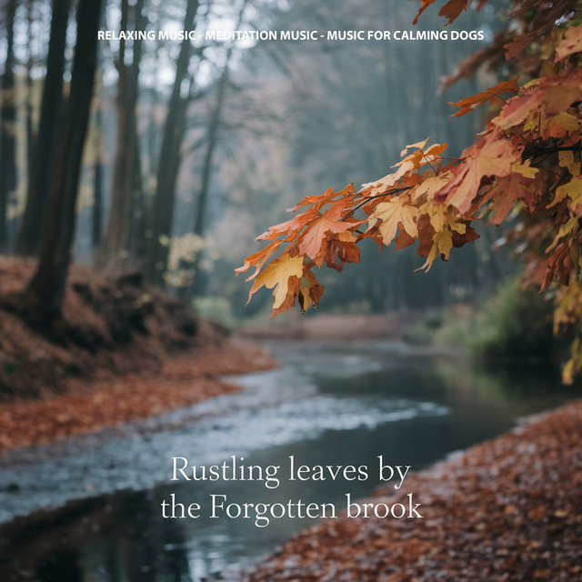 Rustling Leaves by the Forgotten Brook - song and lyrics by Relaxing ...
