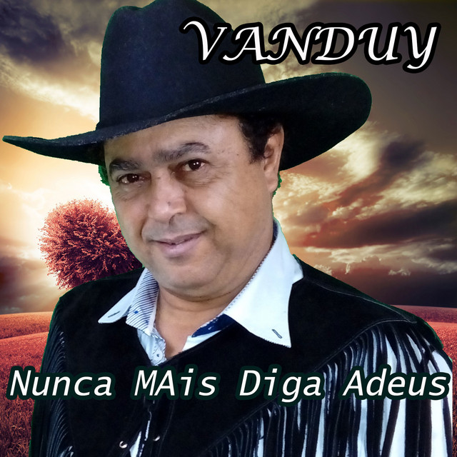Nunca Mais Diga Adeus - Single by Vanduy | Spotify
