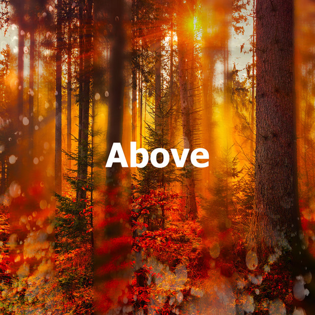 Above - Album by 4D Nature Recordings | Spotify