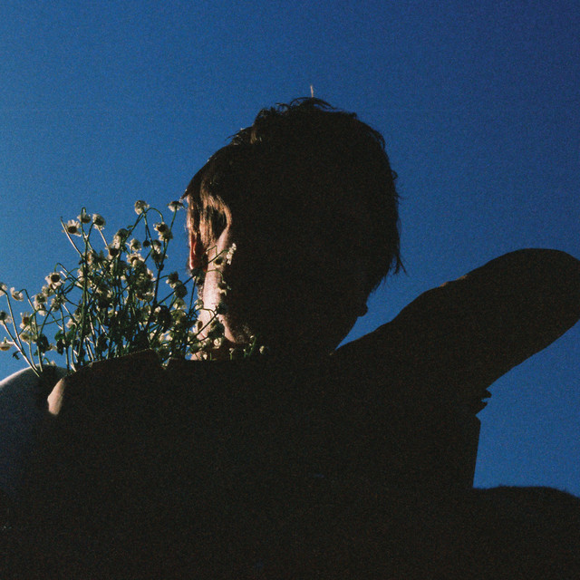 Pfizer - song and lyrics by Gabriel Sayer | Spotify