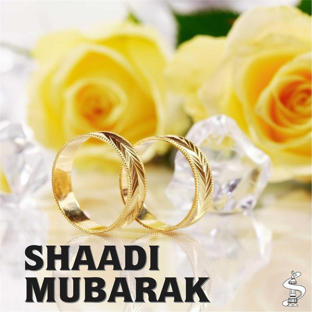 Shadi Mubarak In English