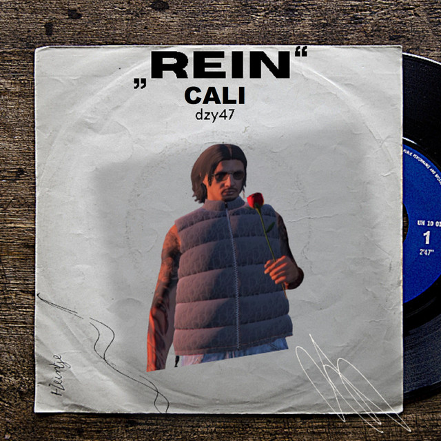 Cali Rein - Single by Dzy47 | Spotify