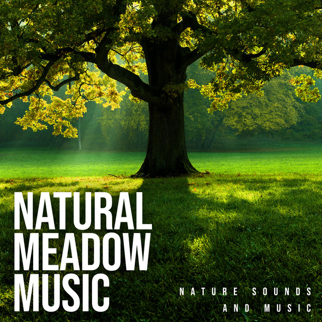 Natural Meadow Music - Album by Nature Sounds and Music | Spotify