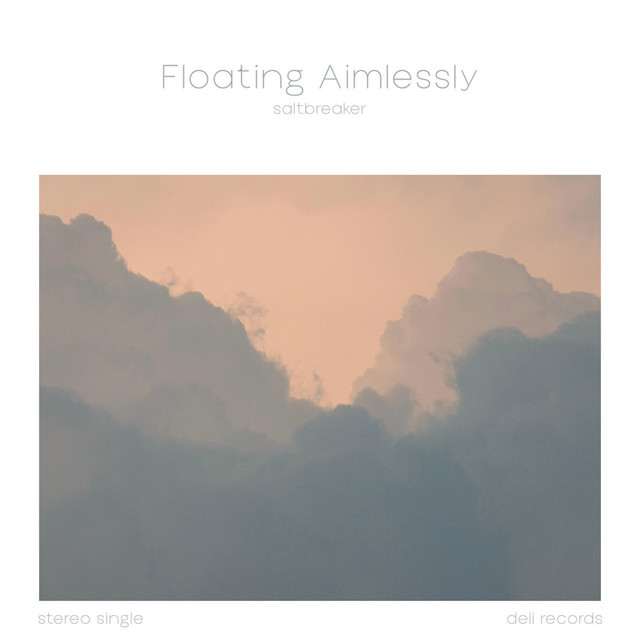 Floating Aimlessly - song by Saltbreaker | Spotify