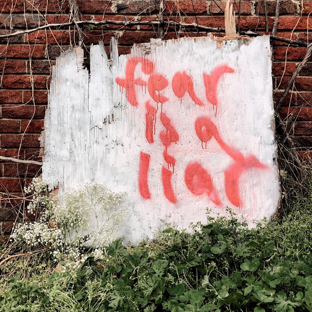 fear is a liar - Single by Clara Waidley | Spotify