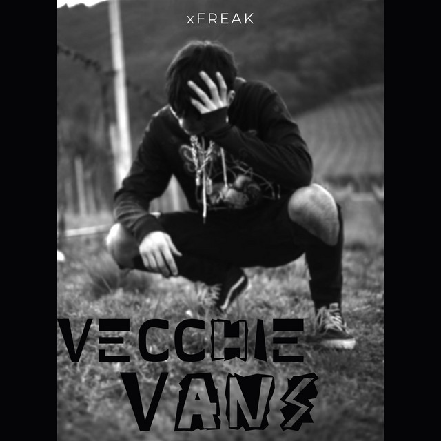 Vecchie Vans - Single by xFreak | Spotify