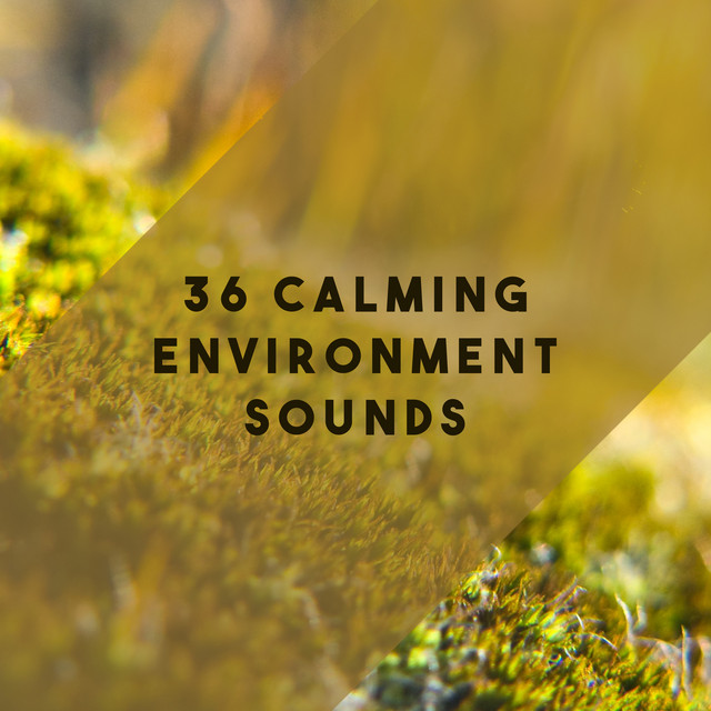 36Calming Environment Sounds - Compilation by Mother Earth Sounds | Spotify