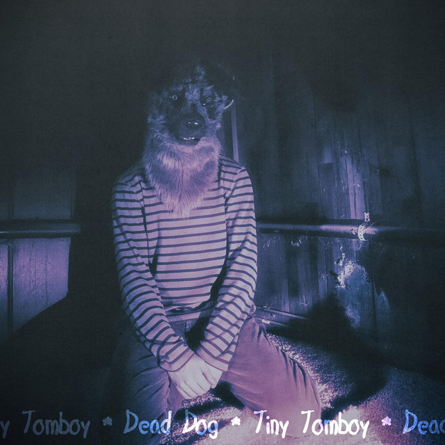 Dead Dog - Single by Tiny Tomboy | Spotify