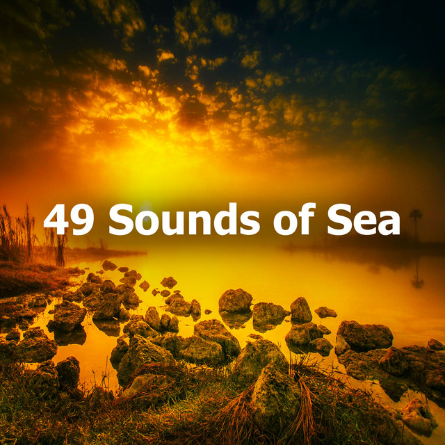 49 Sounds of Sea - Album by Water Science | Spotify