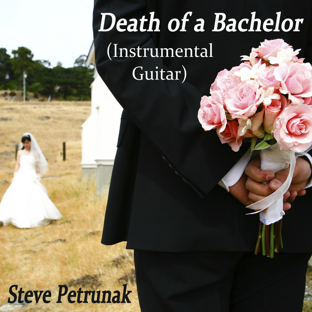 Death of a Bachelor (Instrumental Guitar) - Single by Steve Petrunak ...