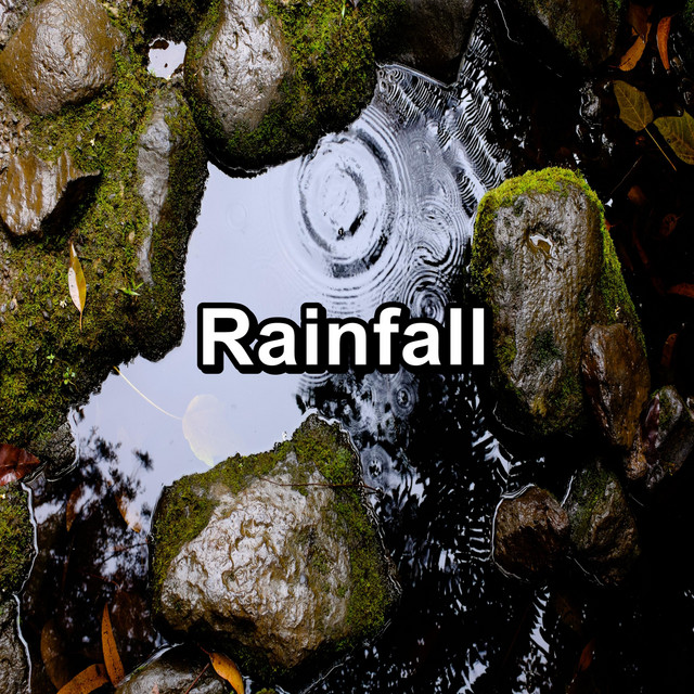 Rainfall - Album by Musica Relajante | Spotify