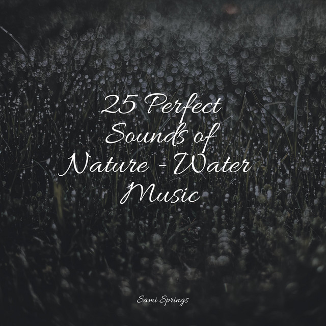 25 Perfect Sounds of Nature - Water Music - Album by Yoga Para Ninos ...