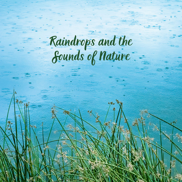 Raindrops and the Sounds of Nature - Album by Rain Rec. | Spotify